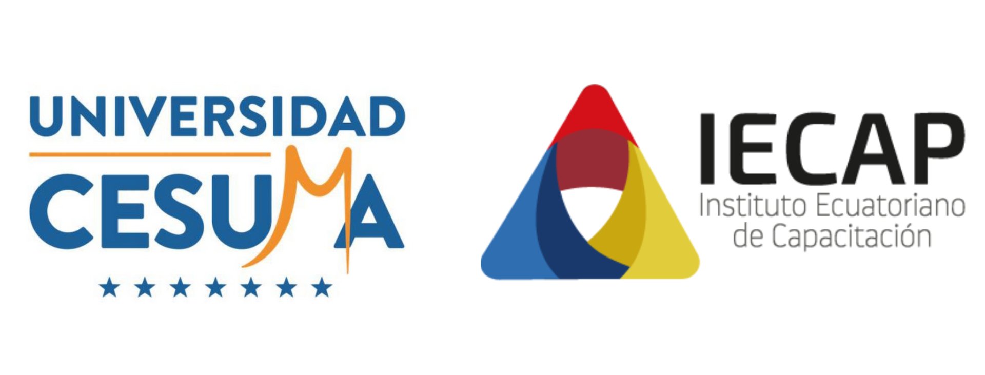 P.E. PROYECTOS | IECAP